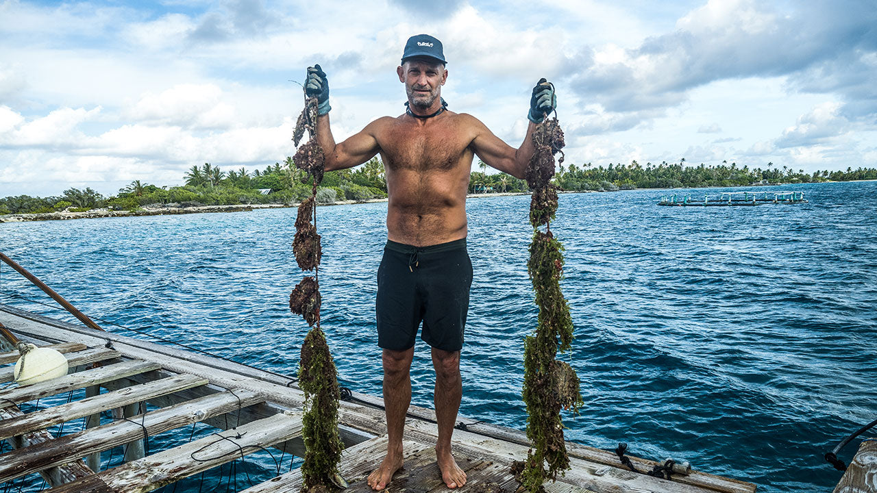 Surf Splendor: Jeff Johnson – Roark
