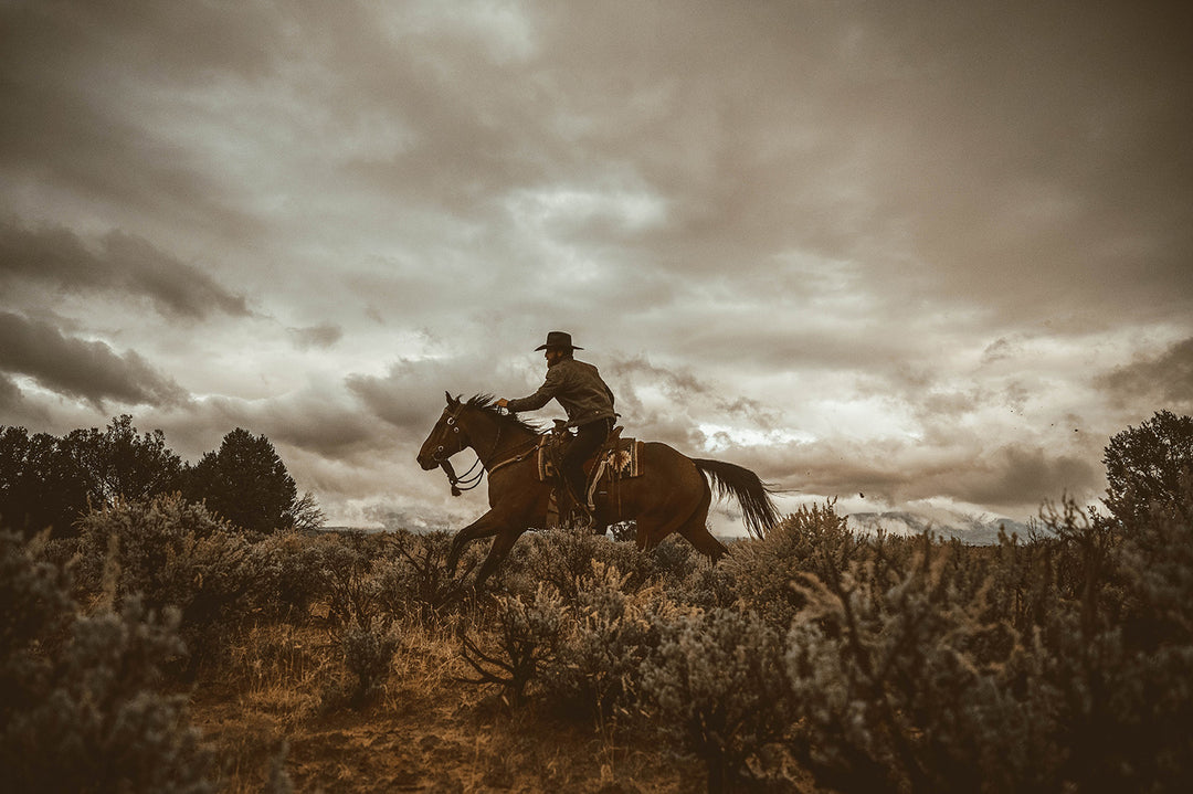 "Out of Range" with Wrangler – Roark