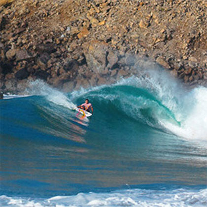 JOURNAL ENTRY – Roark