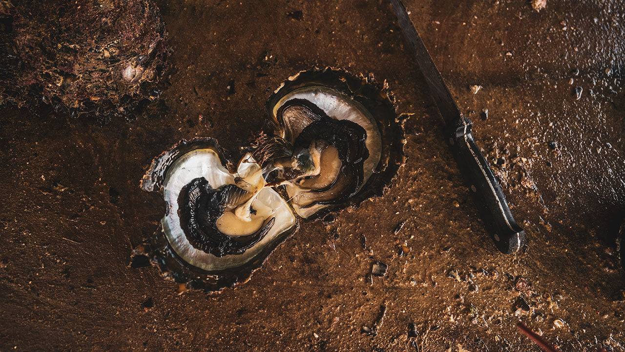 Atoll of the Black Pearls – Roark