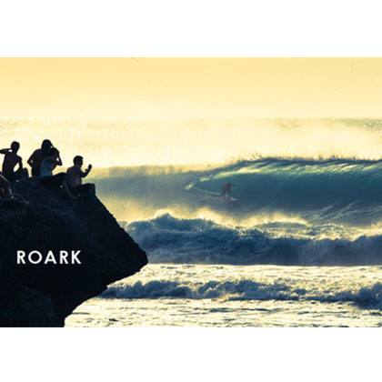SURFLINE – Roark