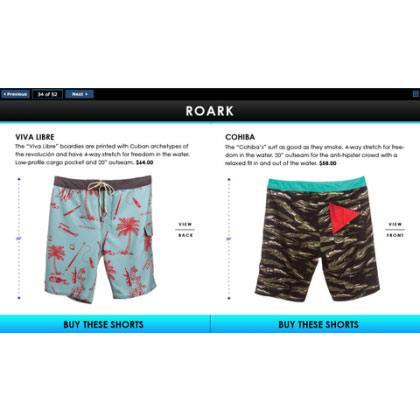 SURFLINE’S GUIDE – Roark