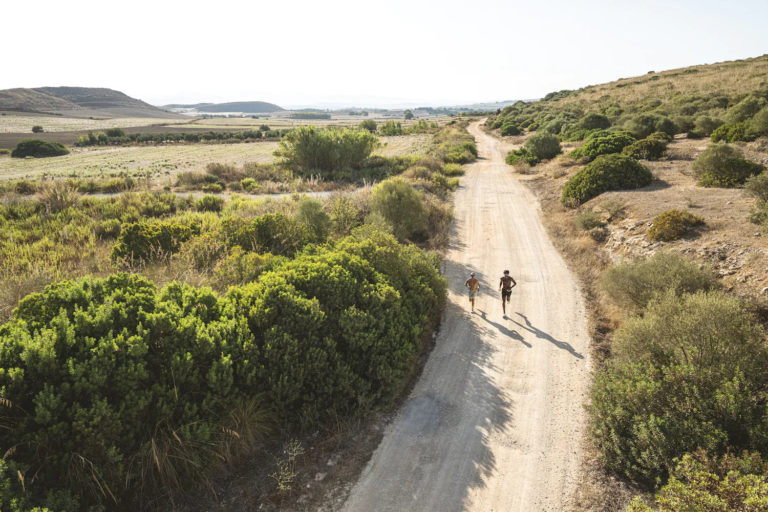 Follow the Stream: Part 2 – Roark